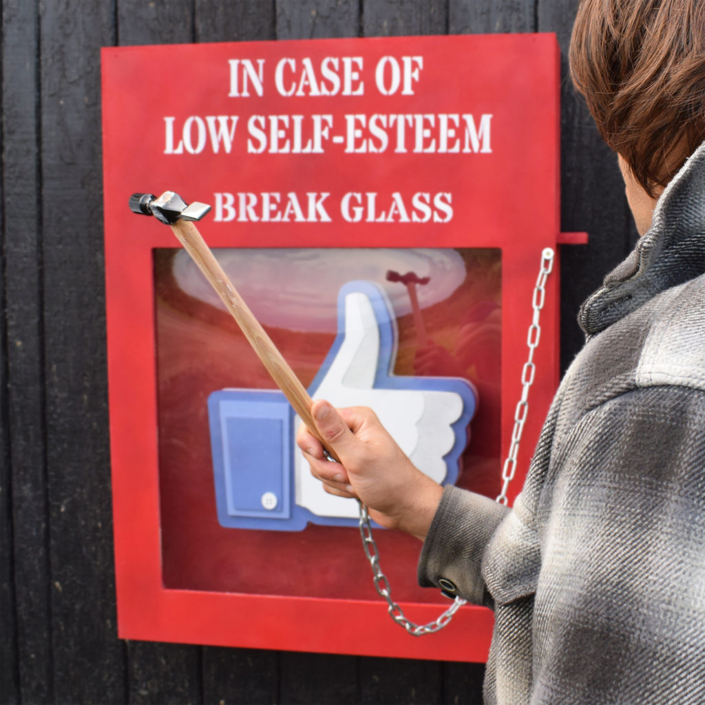 Break Glass (Installation) Street Art Canvas by The Rebel Bear