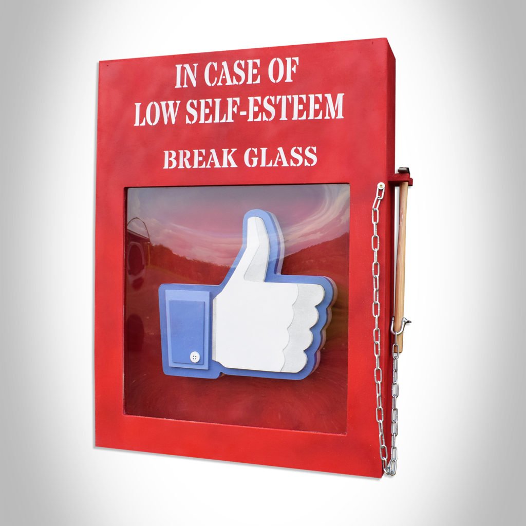 Break Glass (Installation) Street Art Canvas by The Rebel Bear