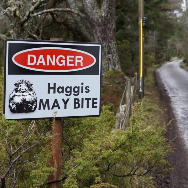 Haggis Road Signs Street Art Canvas by The Rebel Bear